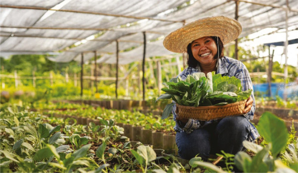 โครงการ Zero Burning Initiative | Central Tham